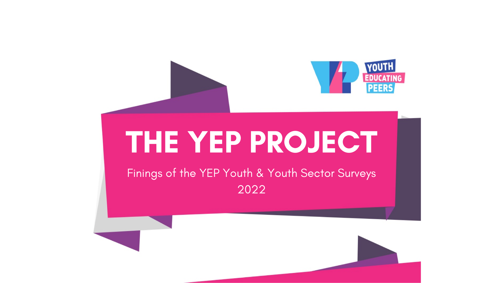 YEP Sector Survey 2022 Results - The YEP Project