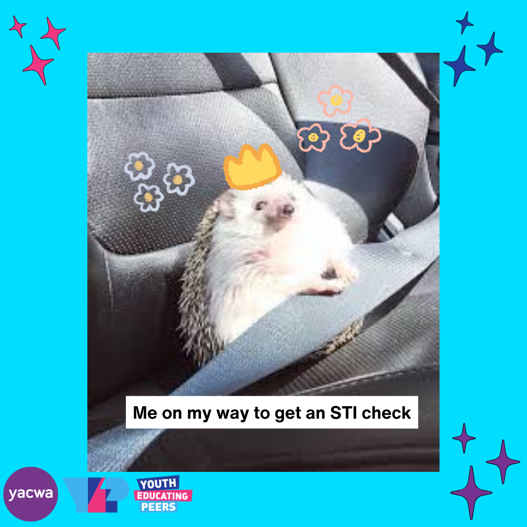 STI and BBV Testing - The YEP Project