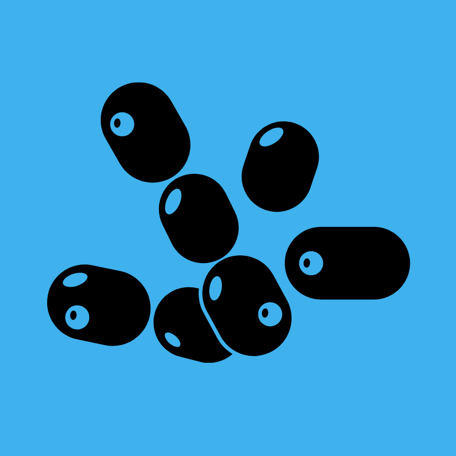 STI and BBV Information - The YEP Project