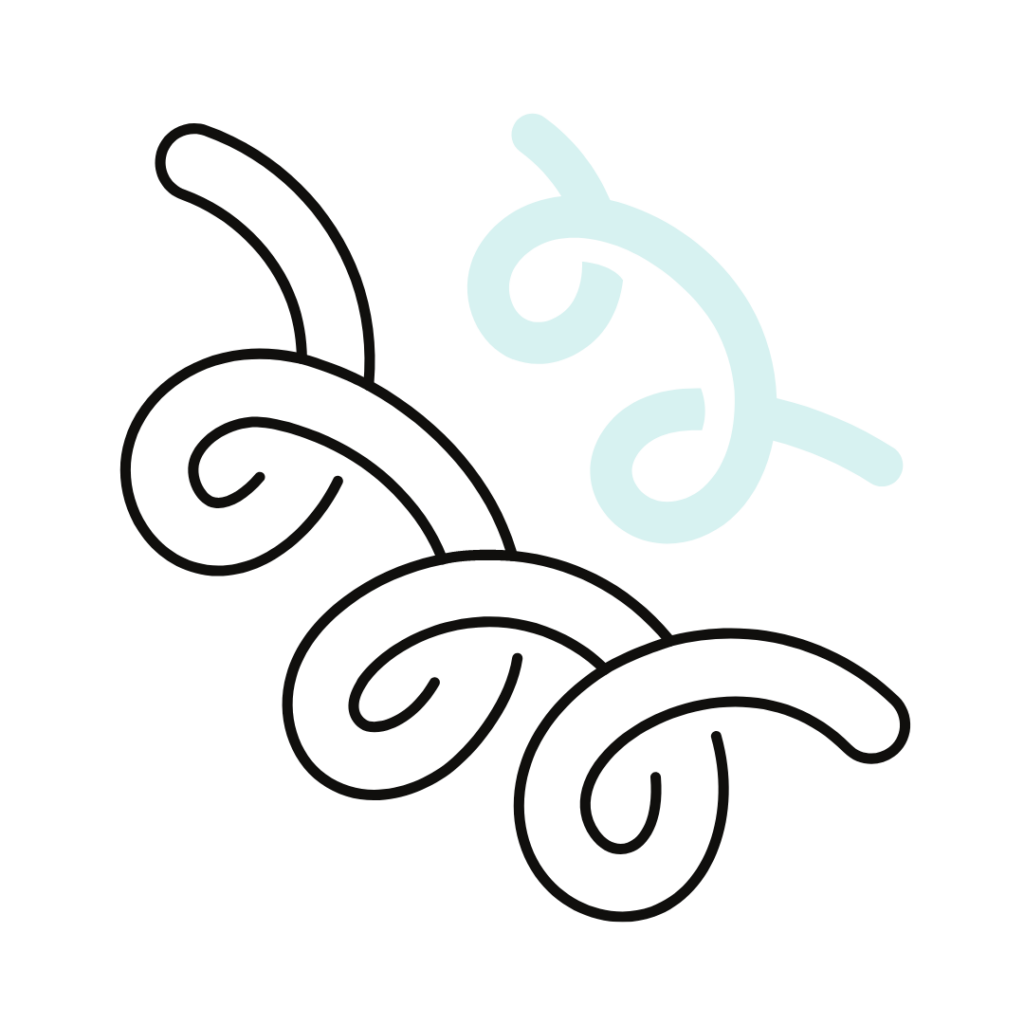 Syphilis Outbreak - The YEP Project