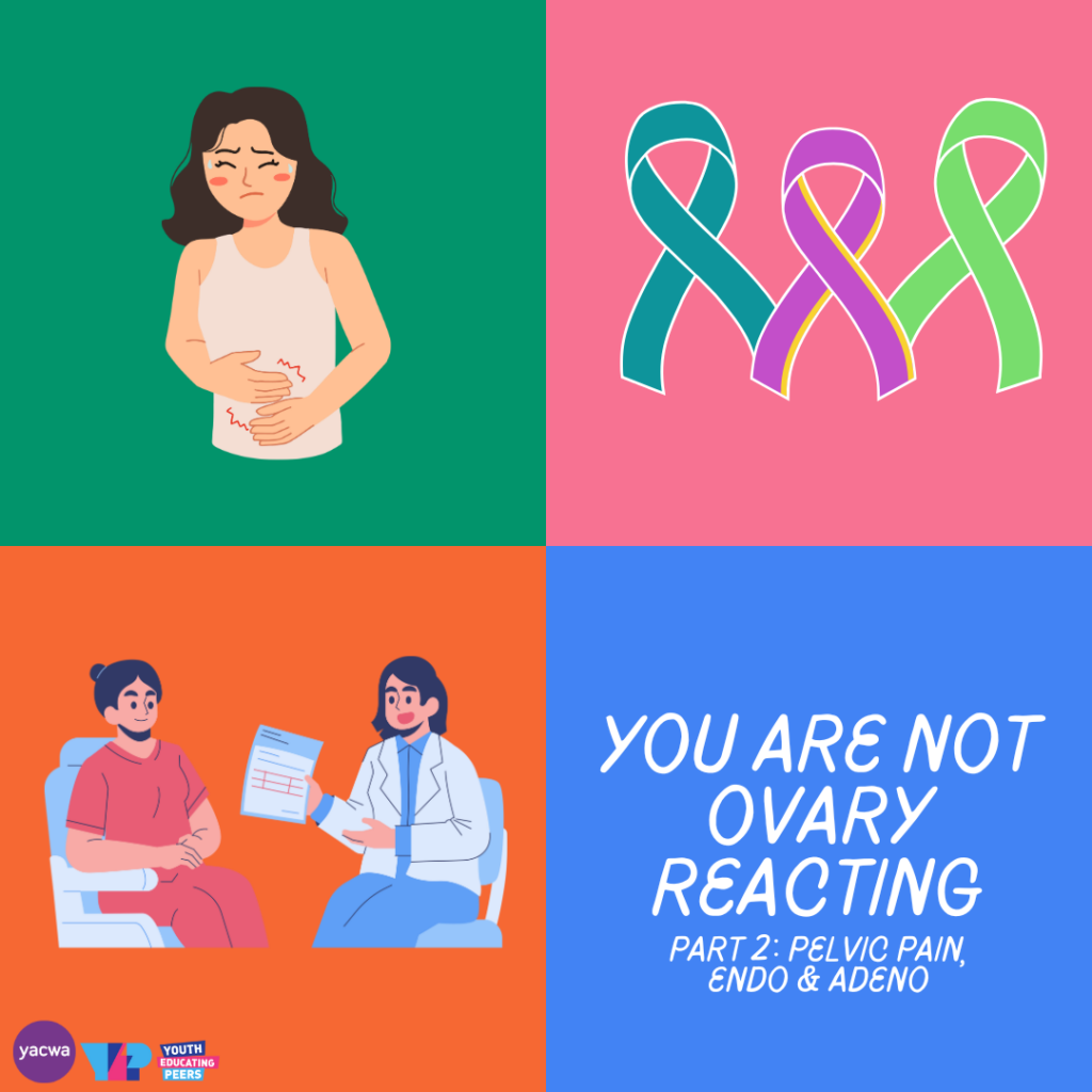 Period Campaign - The YEP Project